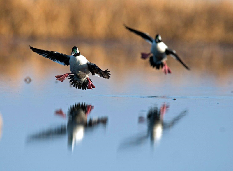 Welcome to Cannon Tackle